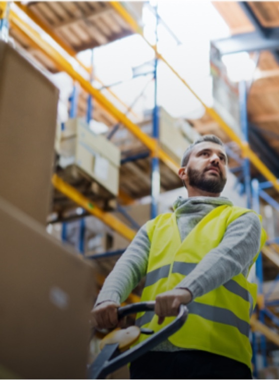 Distribution Channels | Gifan