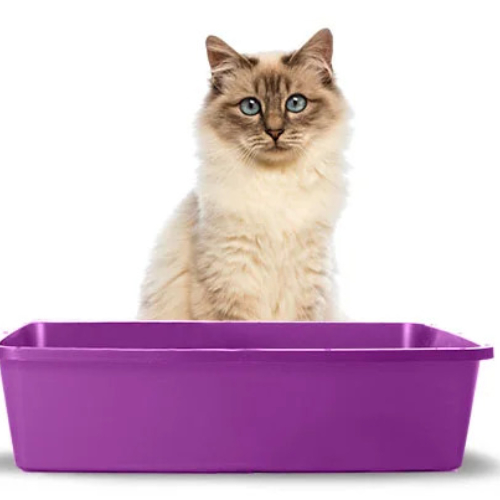 Premier Importer and Distributor of Premium Brands | Gifan